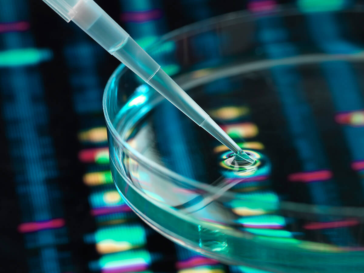 Minicircle Gene Therapy and Its Role in Genetic Longevity